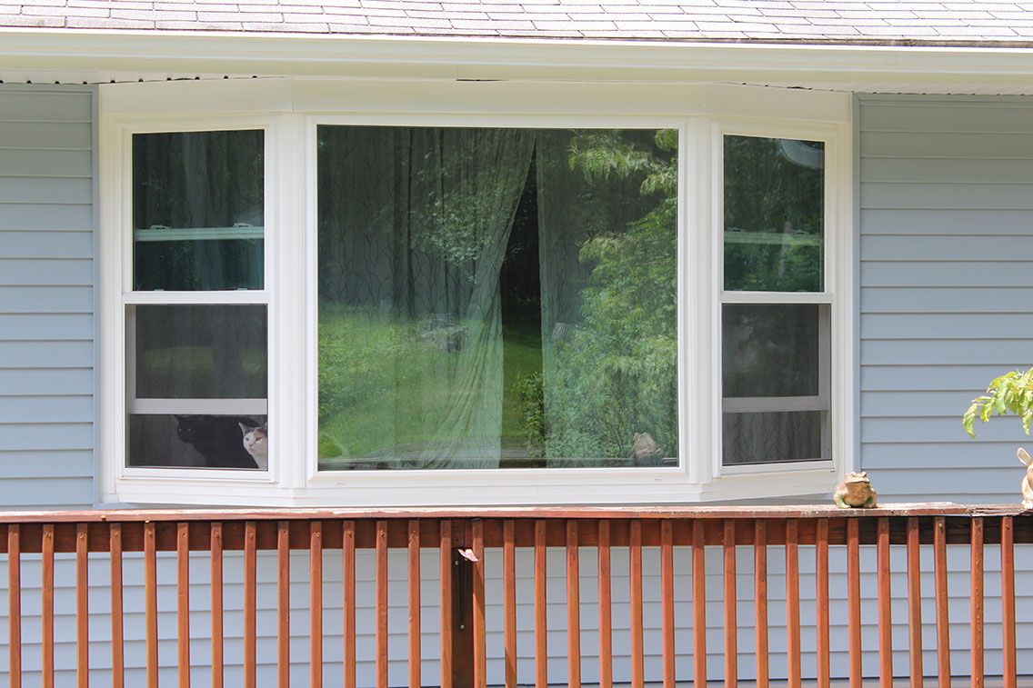 60% Off Vinyl Replacement Windows in Shelton, Connecticut